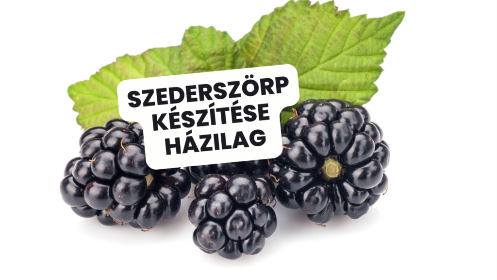 Szederszörp készítése házilag - tippek, ötletek! - Fitnessvilág